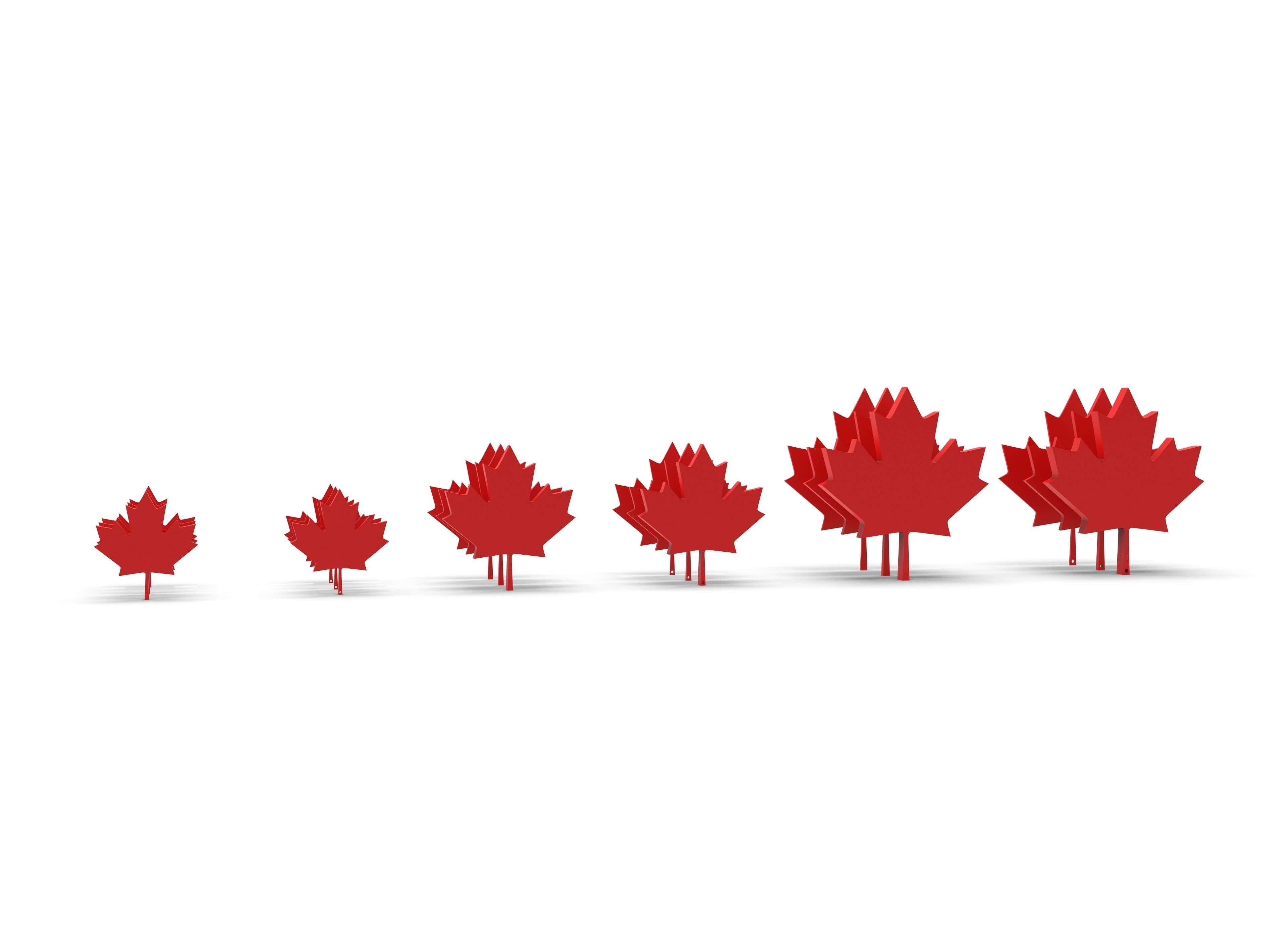 Canadian maple leaf 3D model | CGTrader