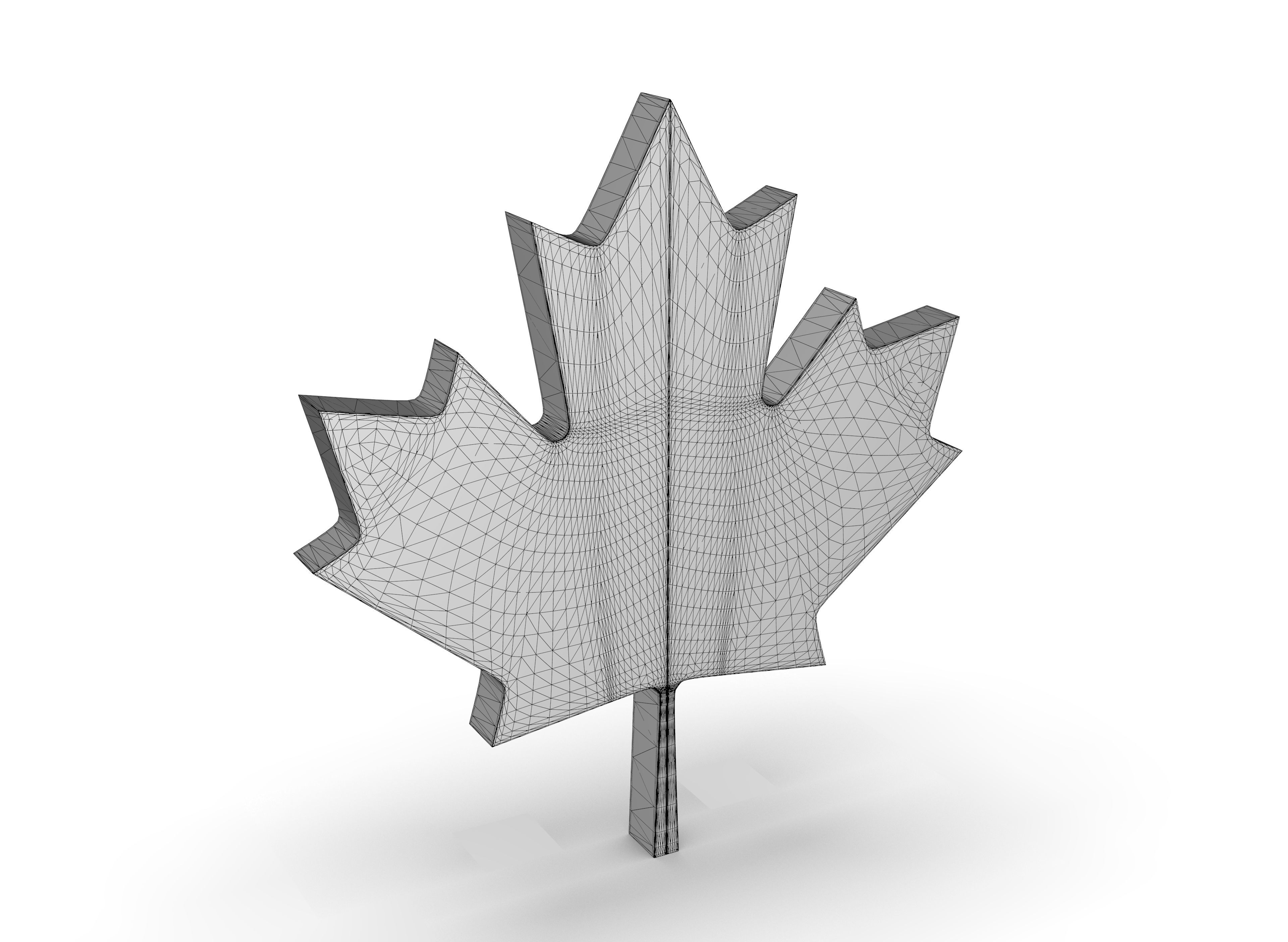 Canadian maple leaf 3D model | CGTrader