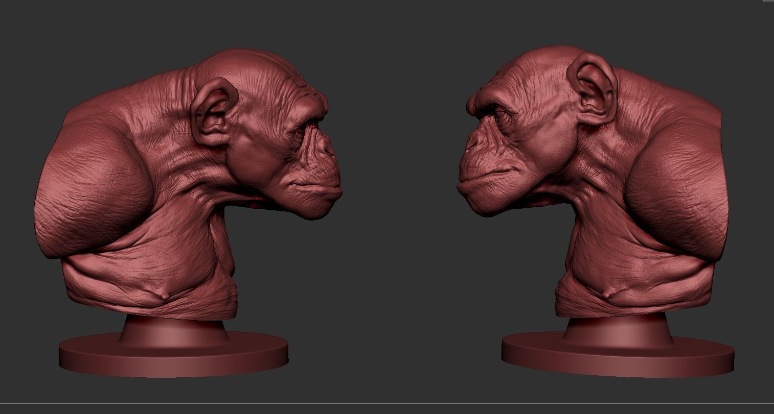 Monkey Bust 3D model 3D printable | CGTrader