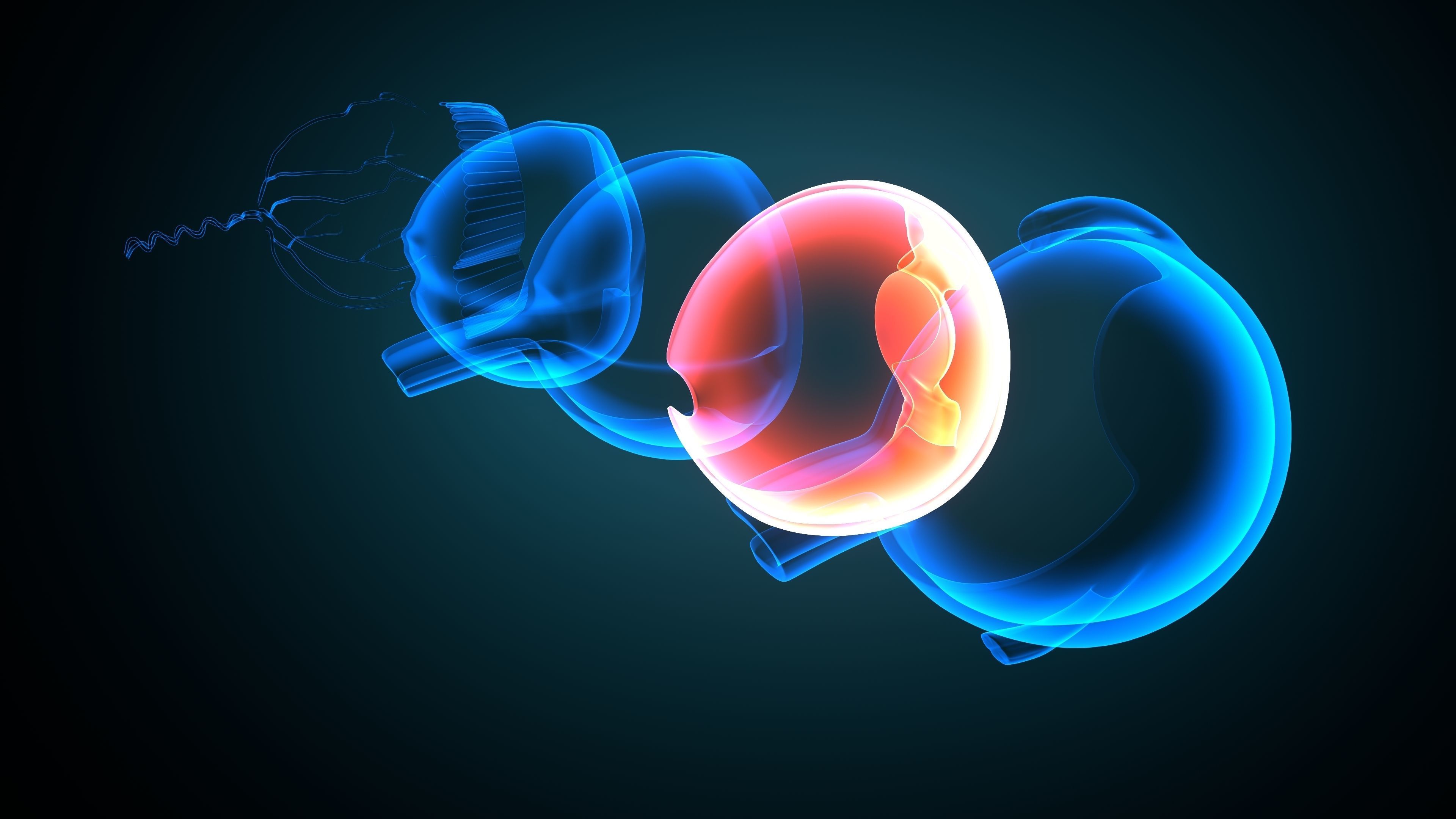 3d human eye anatomy system 3D model | CGTrader