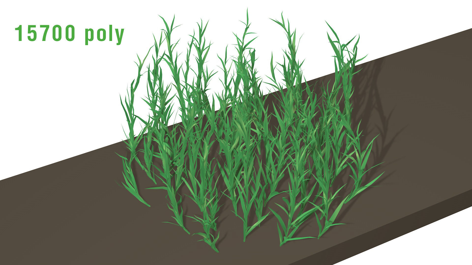 Herbage Various Set 6 piece 3D model | CGTrader