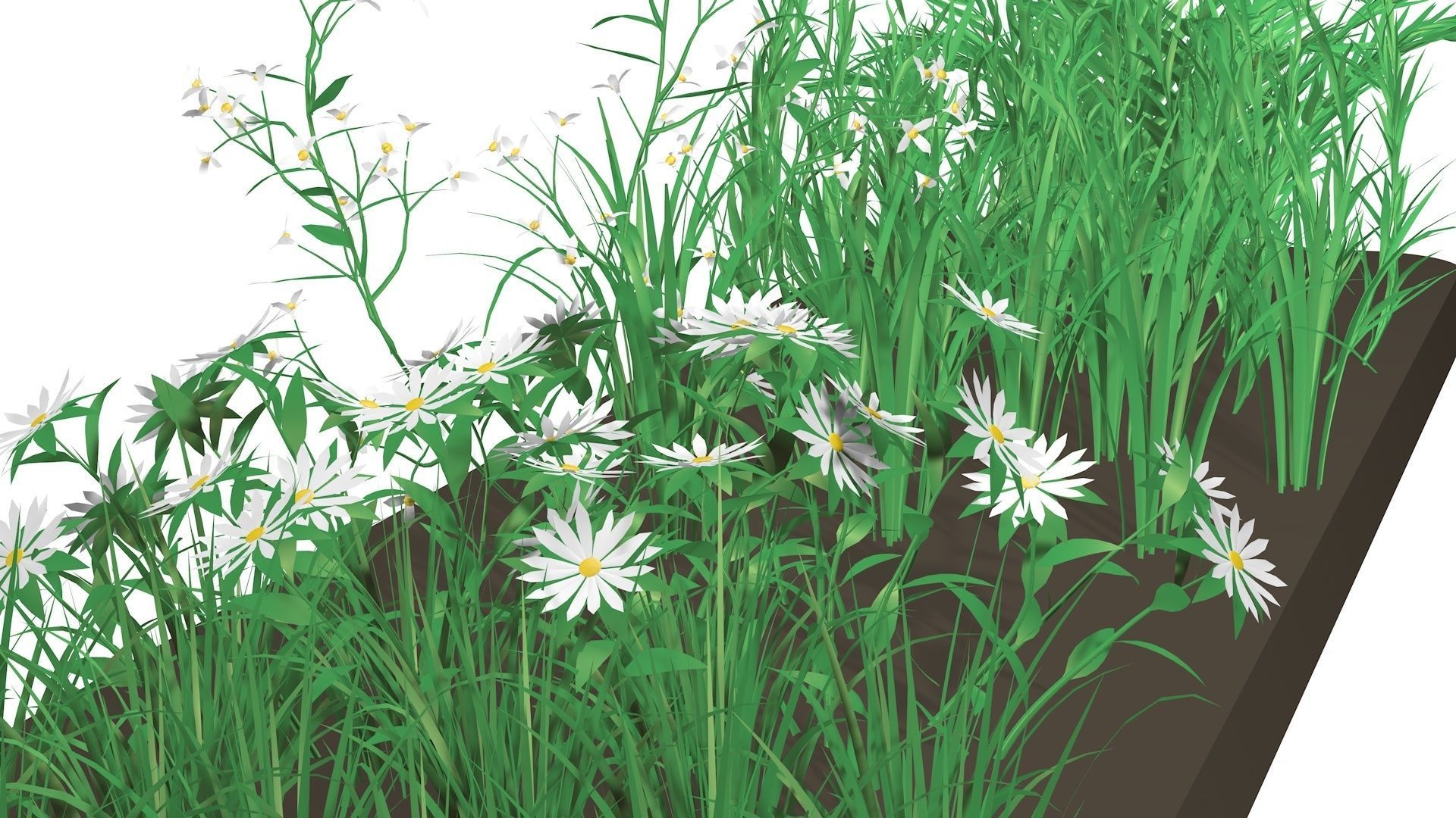 Herbage Various Set 6 piece 3D model | CGTrader