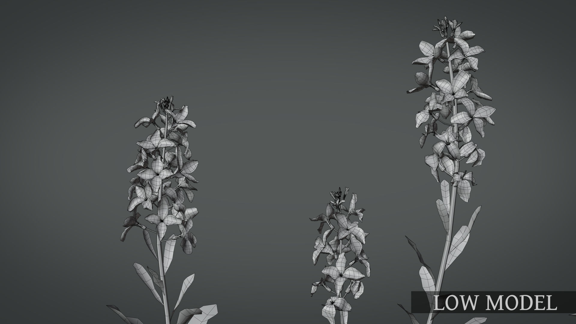 Violet Flower VFX Grace 3D model | CGTrader