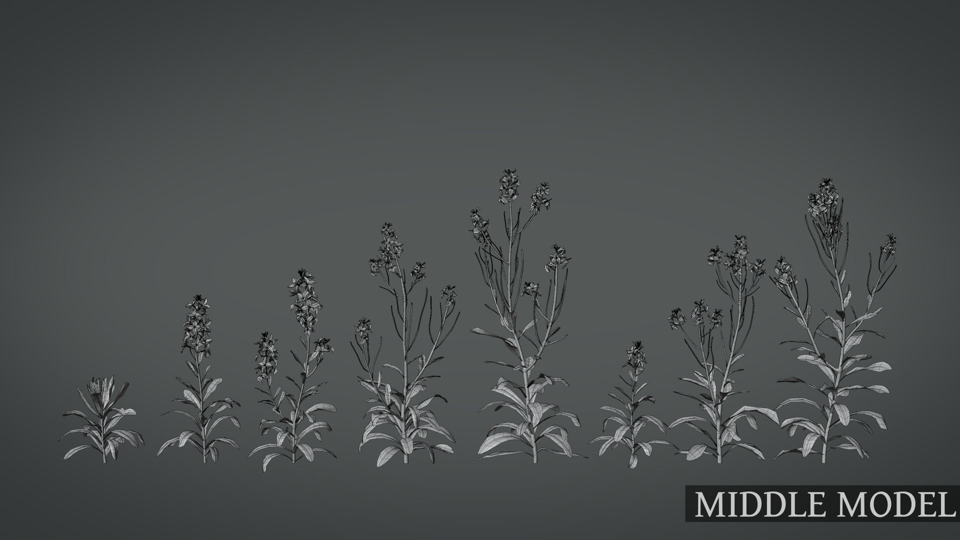 Violet Flower VFX Grace 3D model | CGTrader