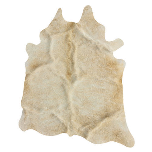 Animal skin rug 18 3D model | CGTrader