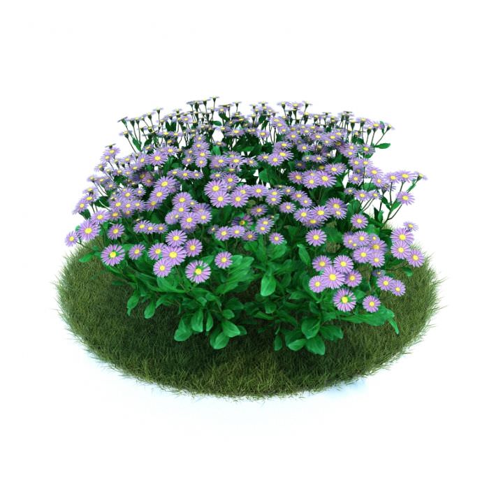 Purple Flower Patch 3D model | CGTrader