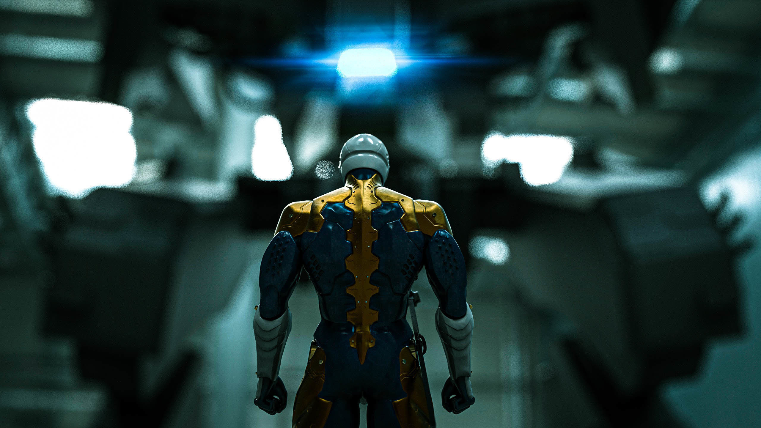 Gray Fox 3D model | CGTrader