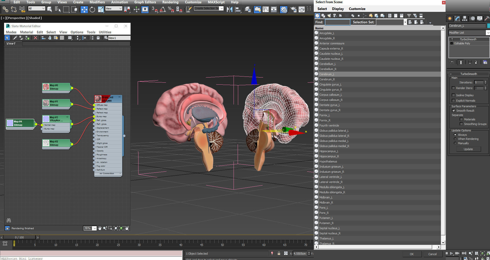 3D model Full Brain Anatomy VR / AR / low-poly | CGTrader