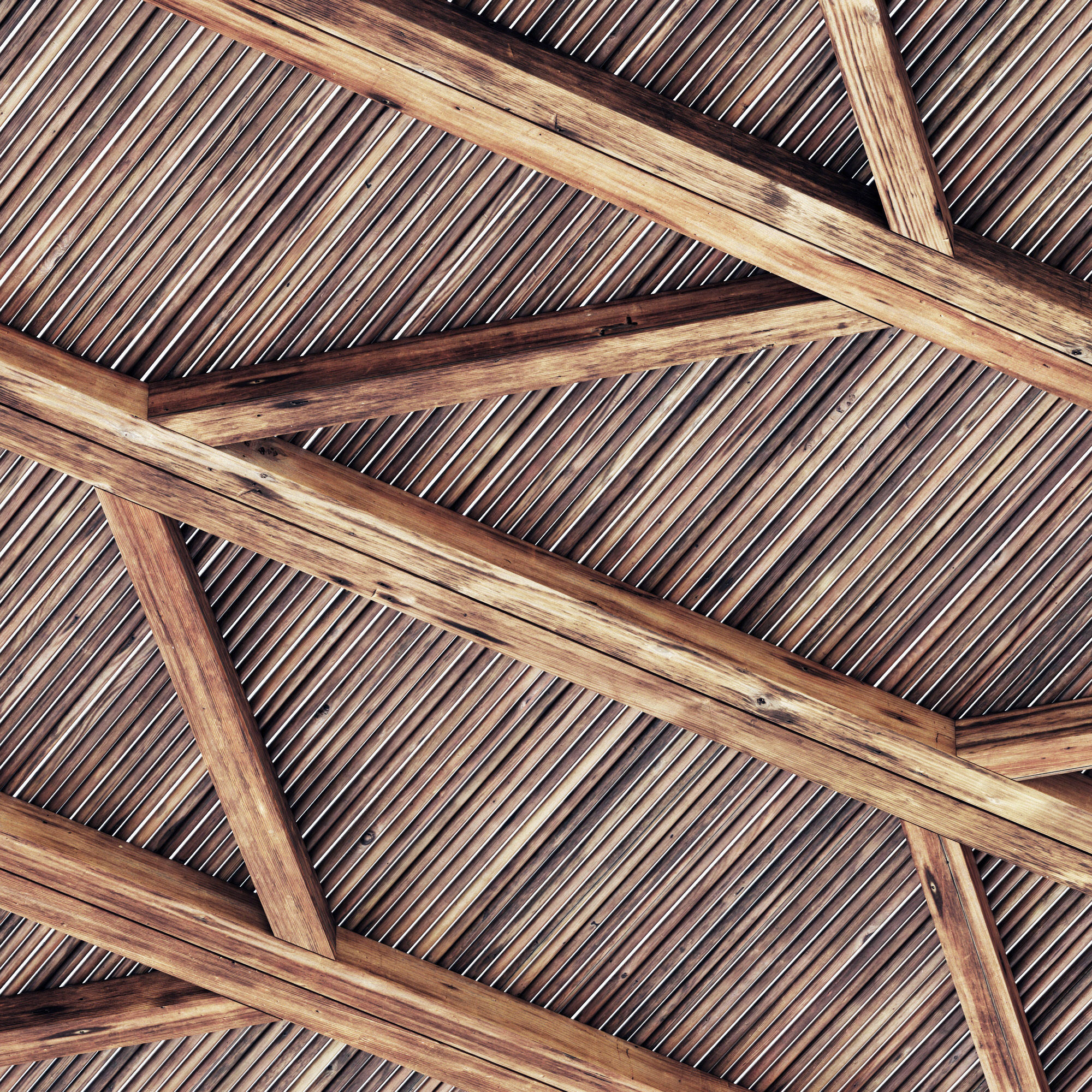 Ceiling diagonal branch straight n1 3D model | CGTrader