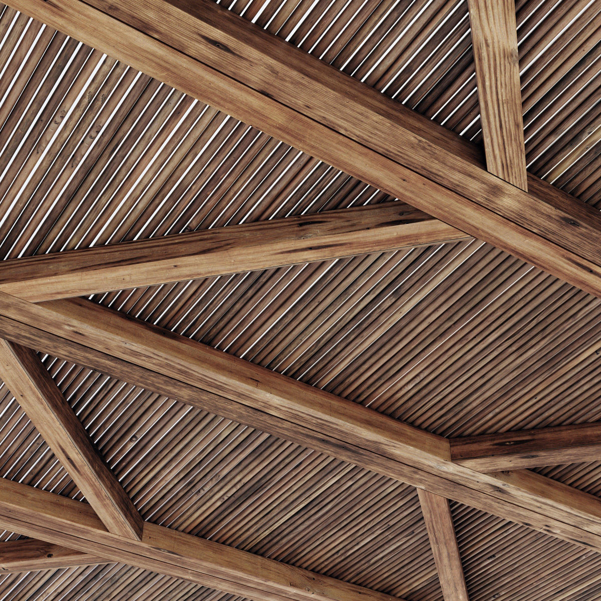 Ceiling diagonal branch straight n1 3D model | CGTrader