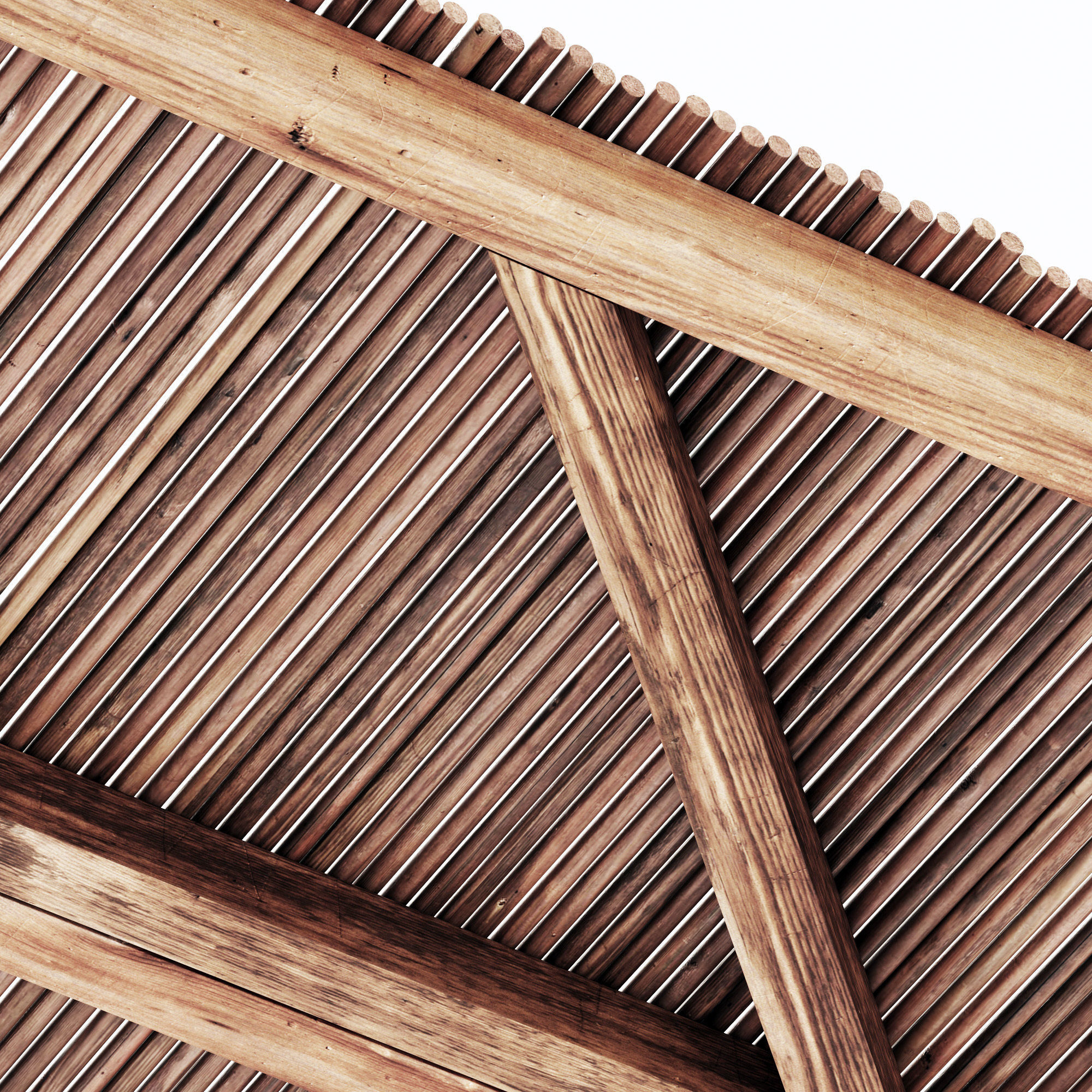 Ceiling diagonal branch straight n1 3D model | CGTrader