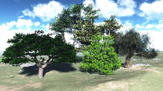 Five High Poly Trees Stellar Trees 1 3D model | CGTrader
