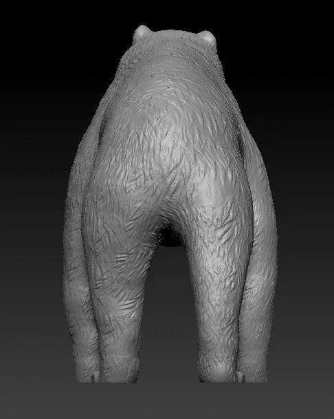 Short-Faced Bear Arctodus pristinus giant extinct bear 3D Print 3D ...