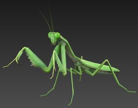 Mantis 3D Models | CGTrader