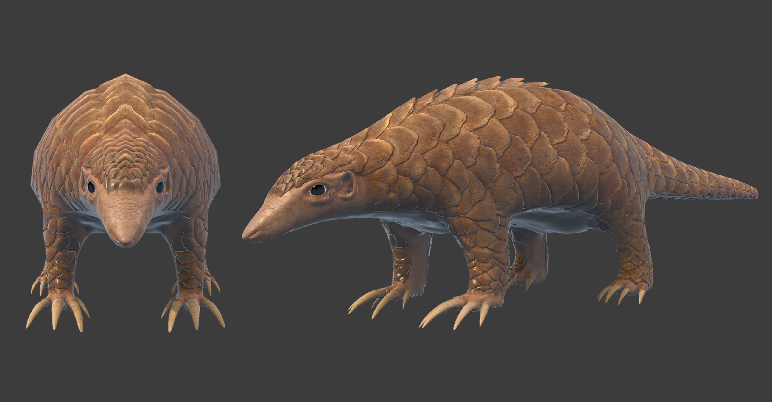 3D model Pangolin Low-poly armadillo VR / AR / low-poly | CGTrader