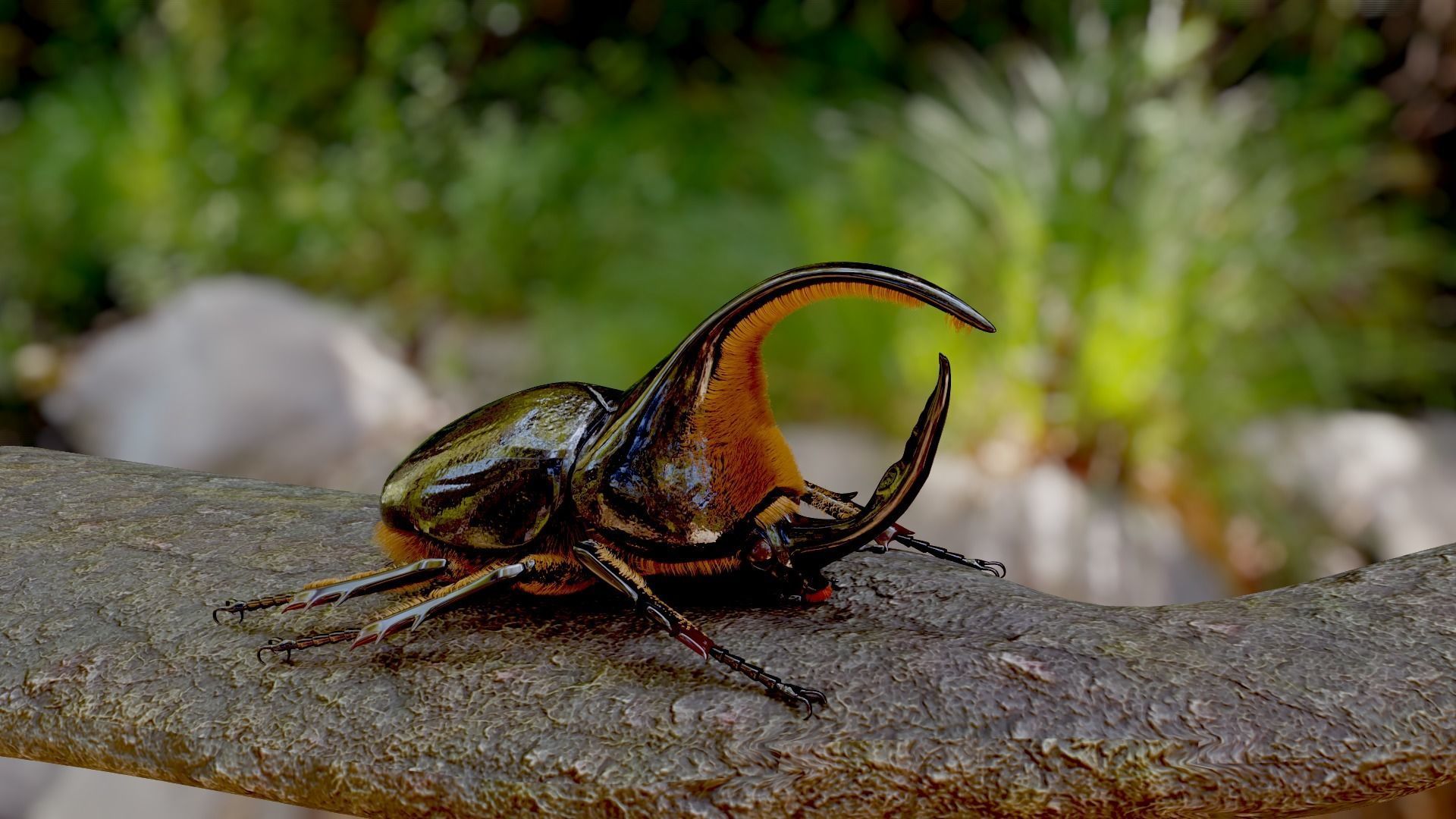 Dynastes satanus 3D model | CGTrader