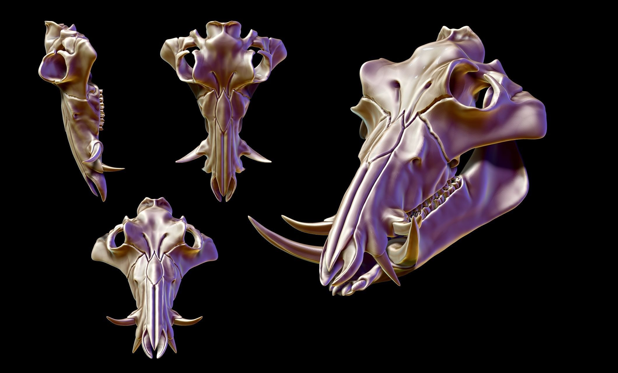 Boar Skull - CNC and 3D model 3D printable | CGTrader
