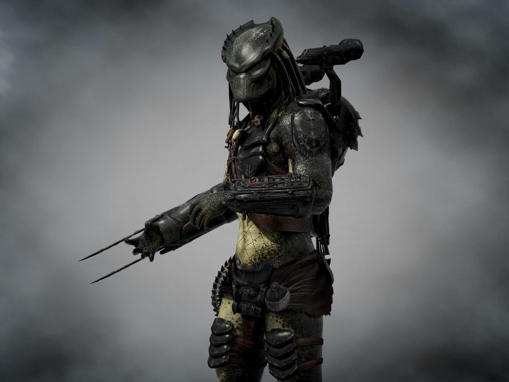 3D model Predator Wolf VR / AR / low-poly rigged | CGTrader
