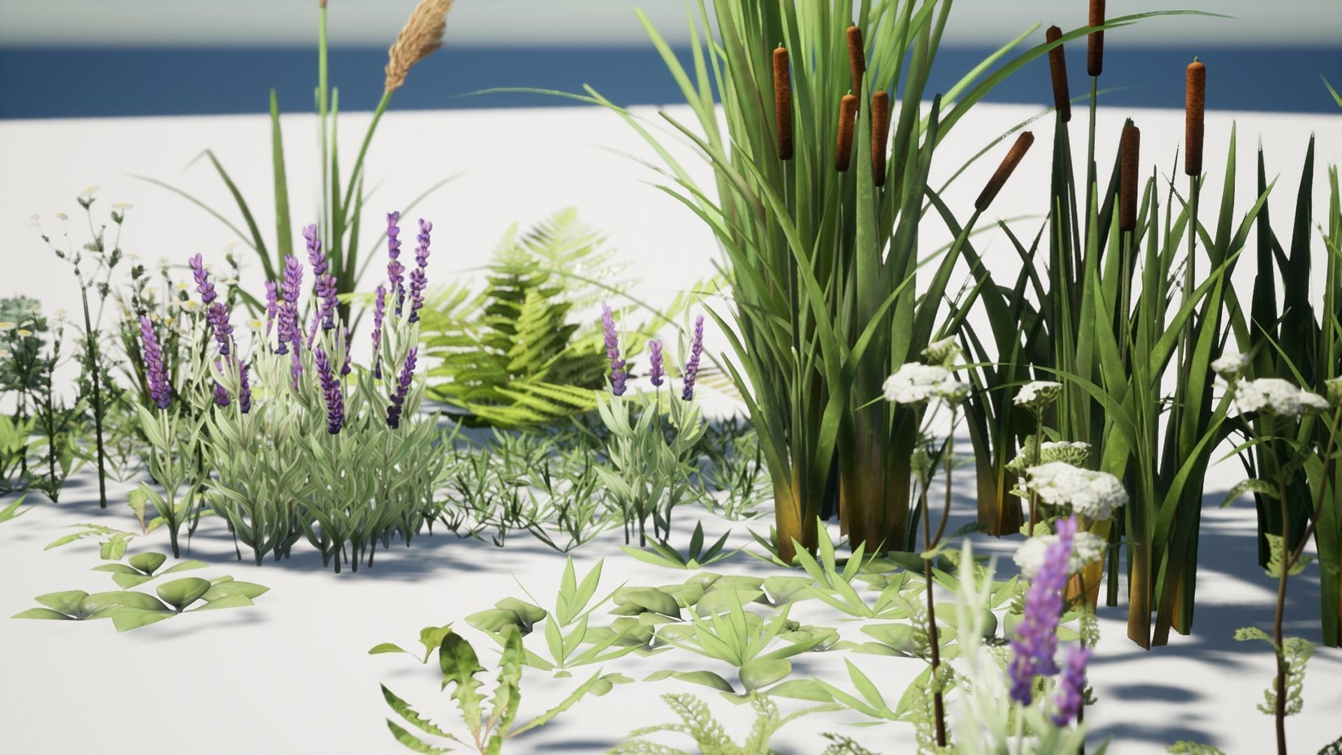 3D model Grass Field Pack VR / AR / low-poly | CGTrader