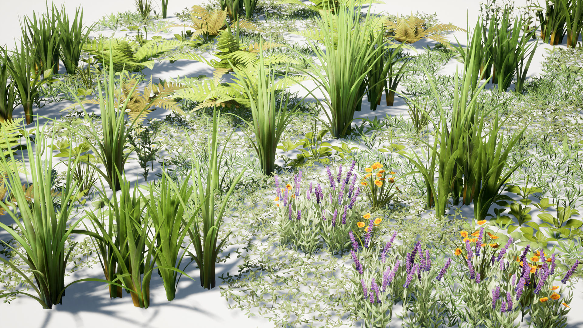 3D model Grass Field Pack VR / AR / low-poly | CGTrader