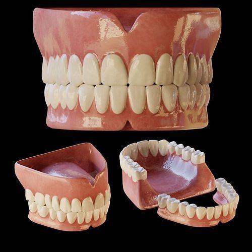 Human Teeth 3D model | CGTrader