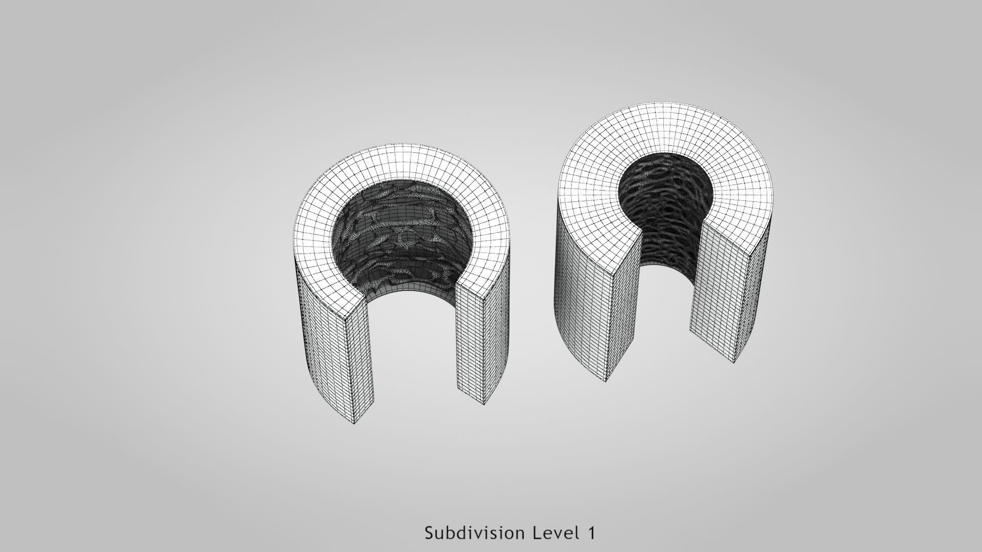 Healthy and Osteoporotic Bone Section 3D model | CGTrader