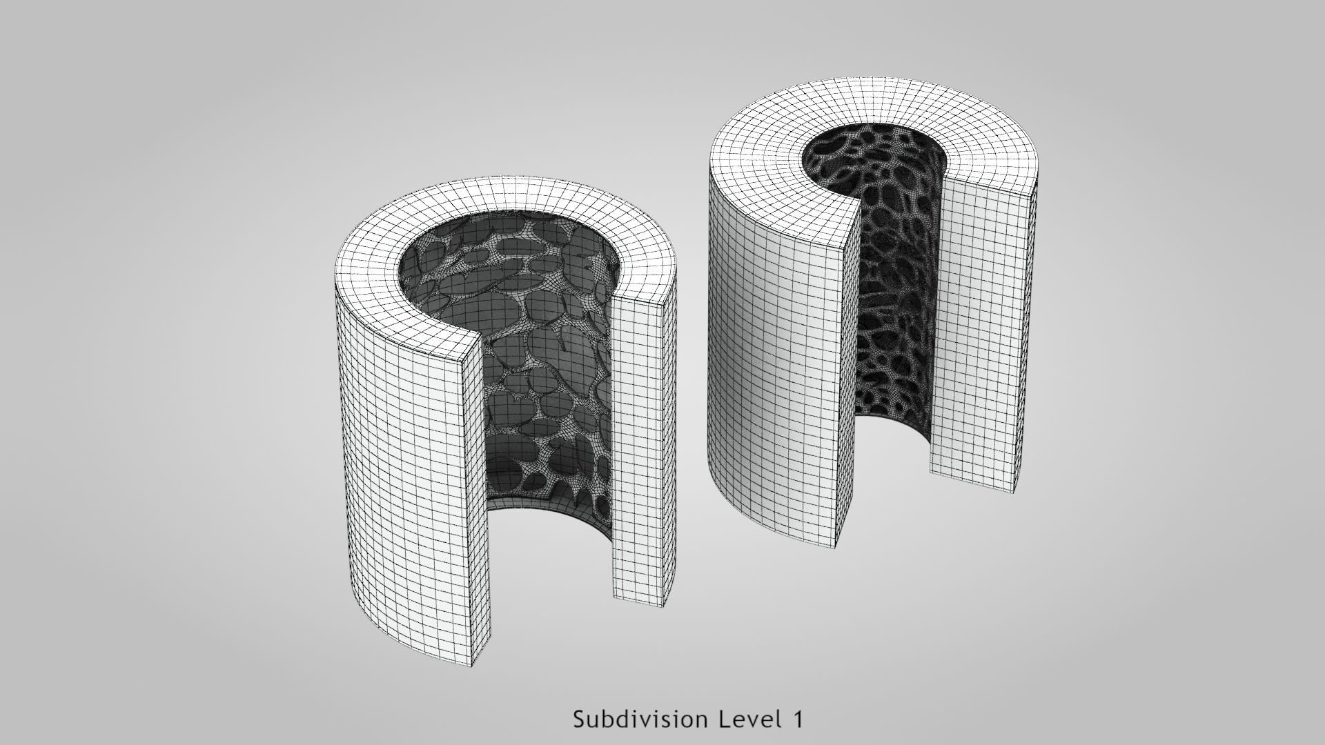 Healthy and Osteoporotic Bone Section 3D model | CGTrader