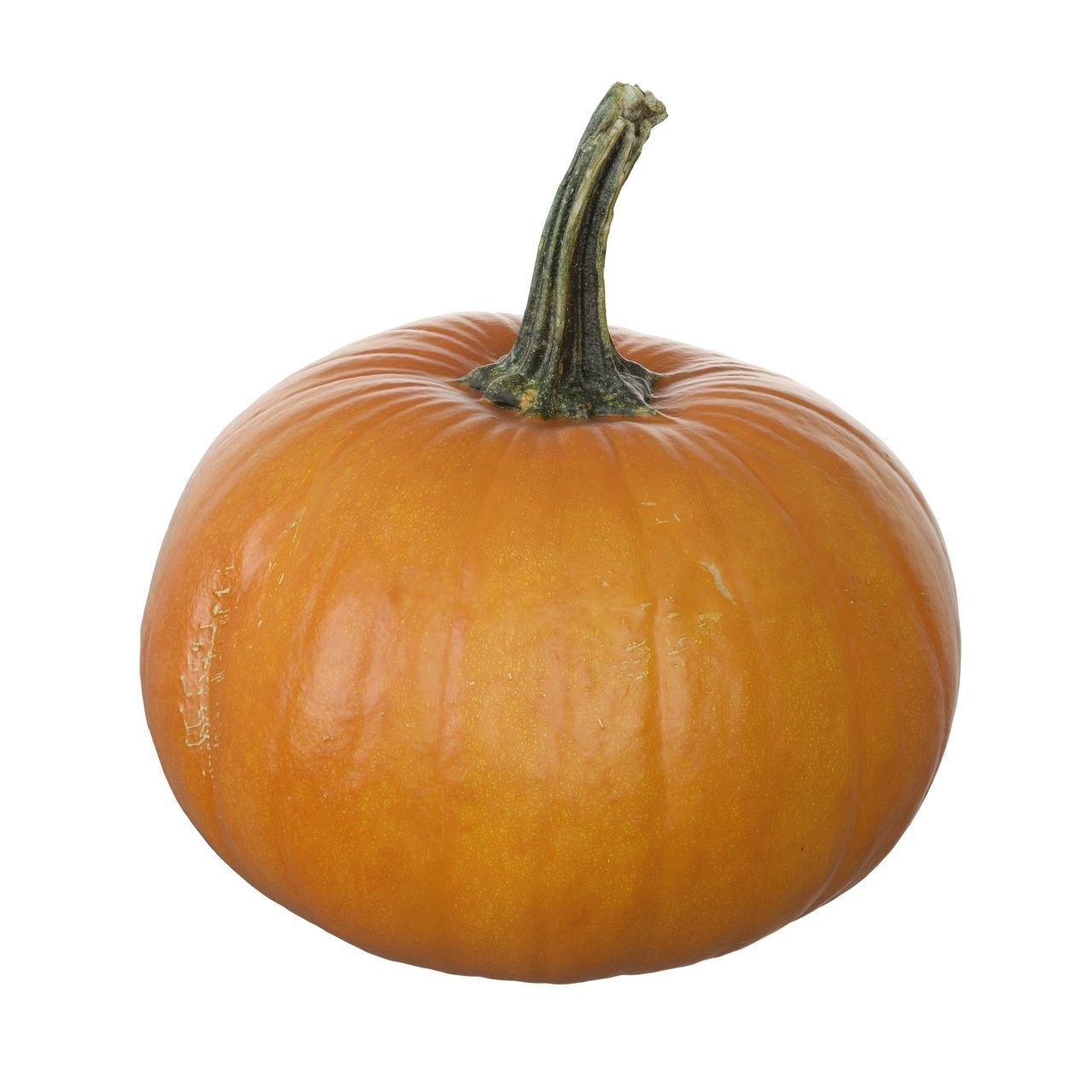 3D model Small Pumpkin Baby Bear VR / AR / low-poly | CGTrader