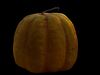 3D model Halloween pumpkin complete SET with light and 55 ready renders ...