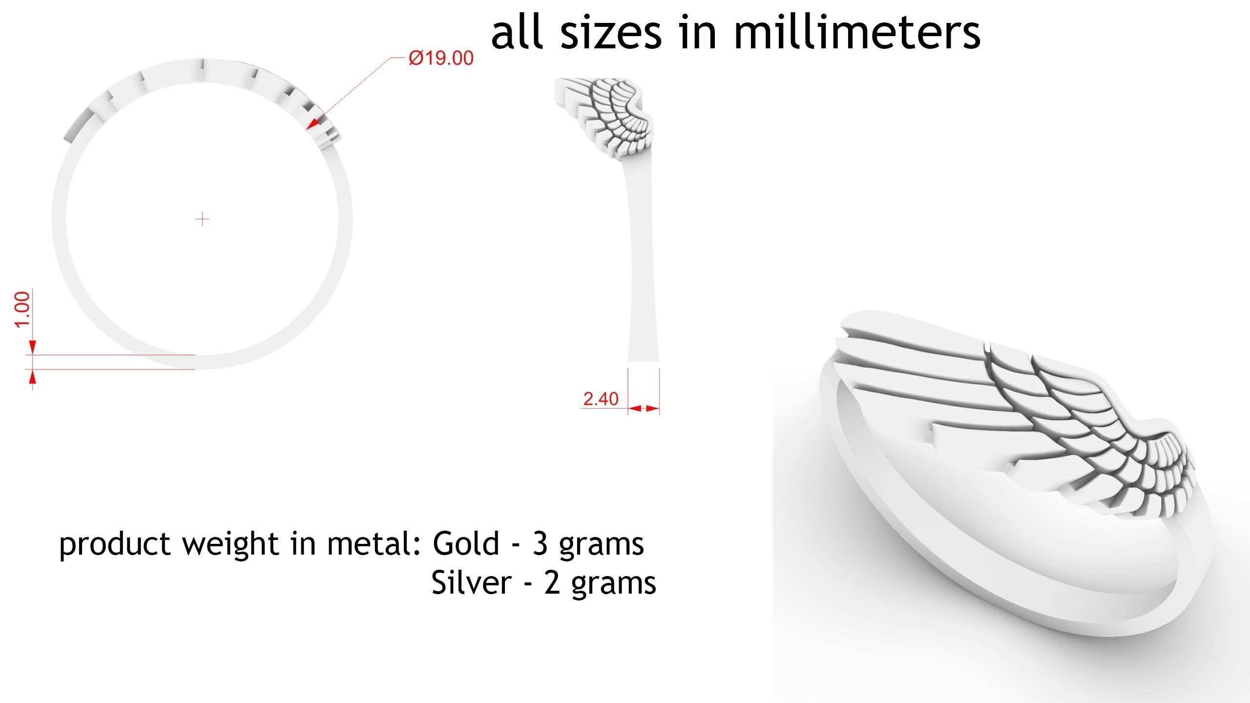 ring wing 3D model 3D printable | CGTrader