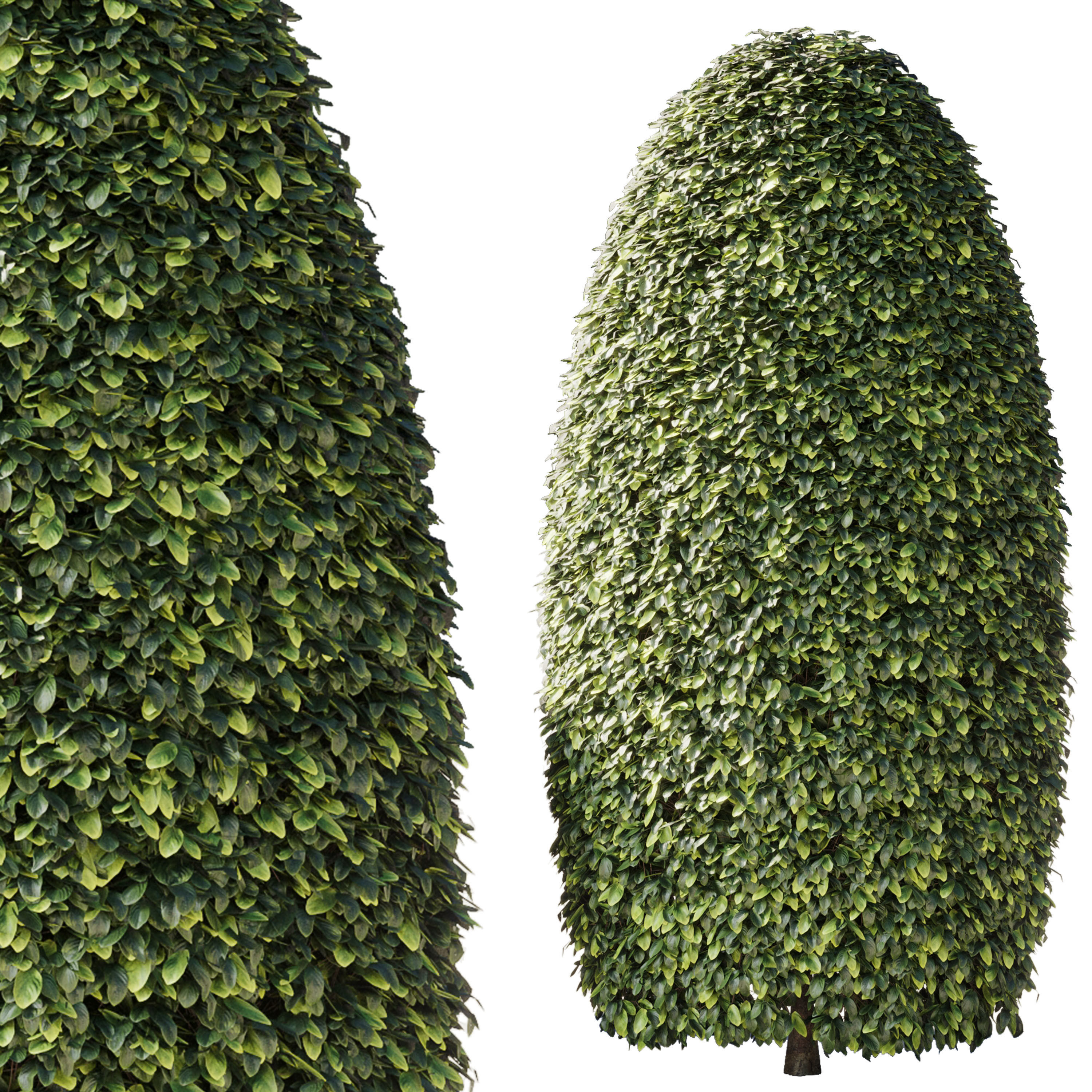 Bush Collection Shrubs cube oval circle rectangle 3D model | CGTrader