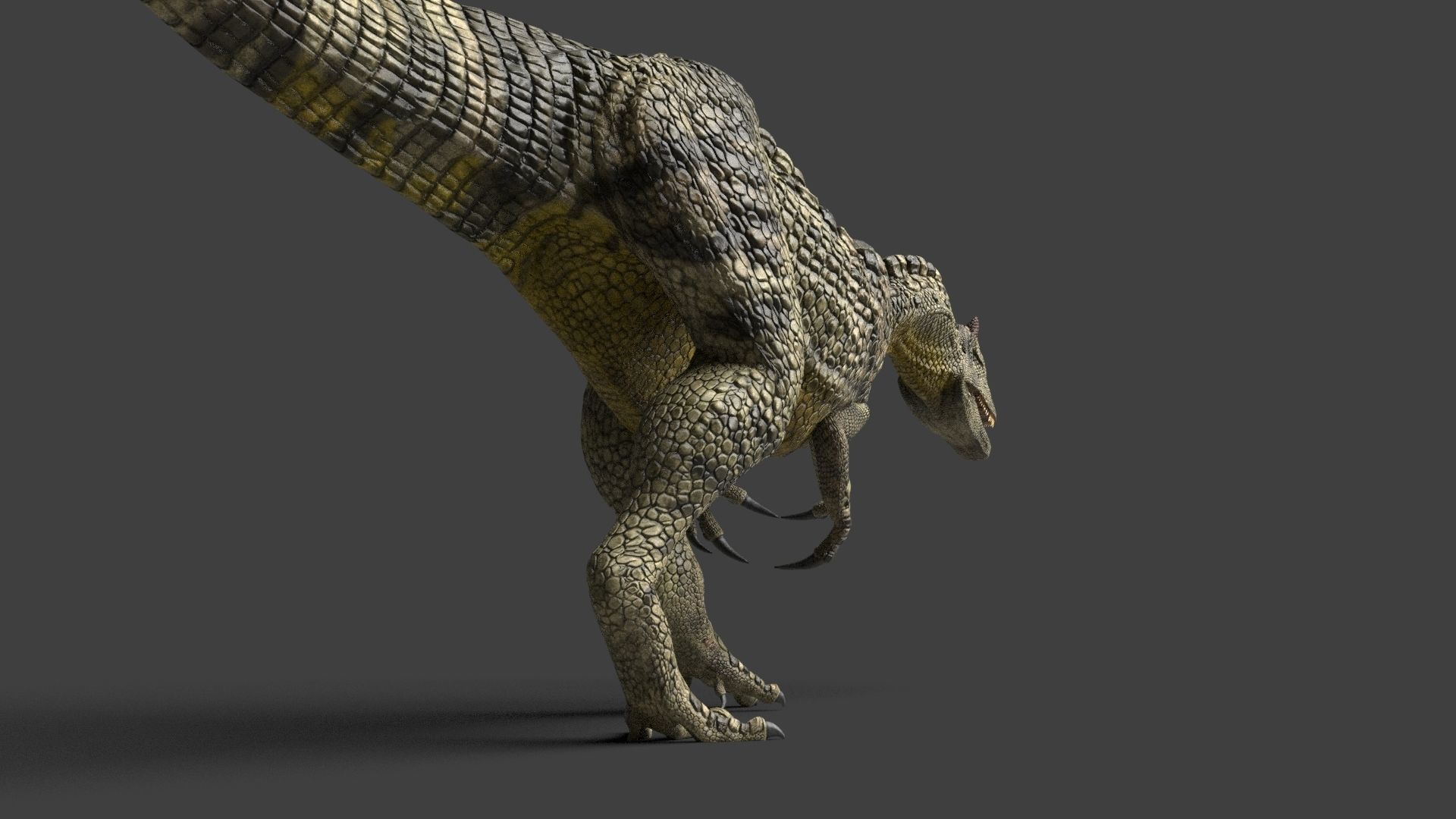 Allosaurus 3D model animated rigged | CGTrader