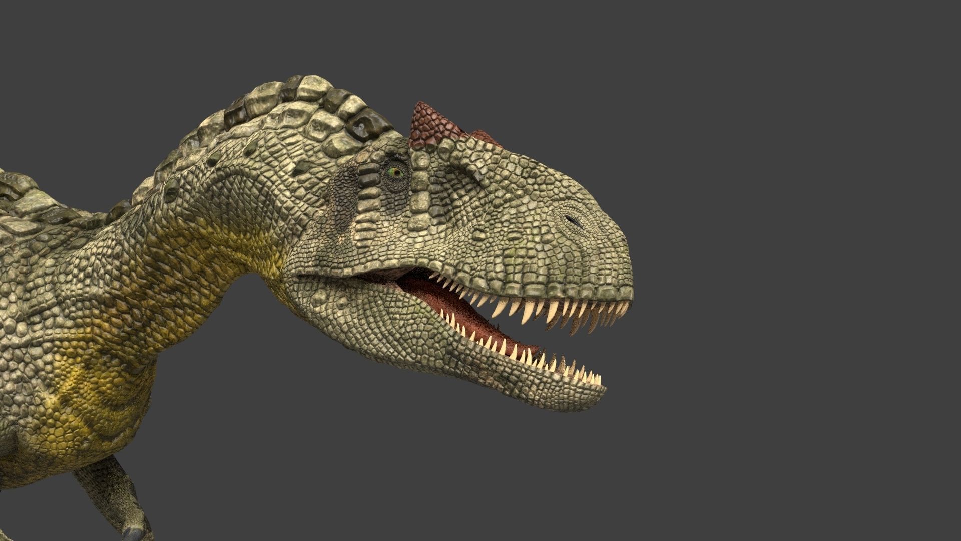 Allosaurus dinosaur 3D model animated rigged | CGTrader