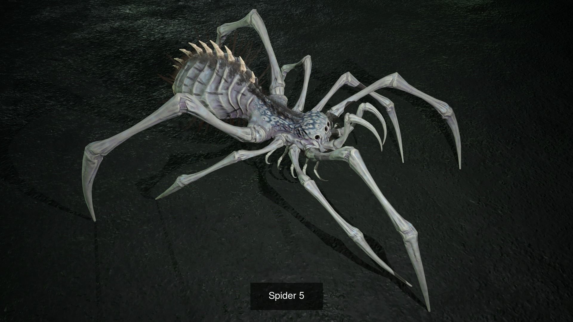 Spider Pack 2 3D Model Collection | CGTrader