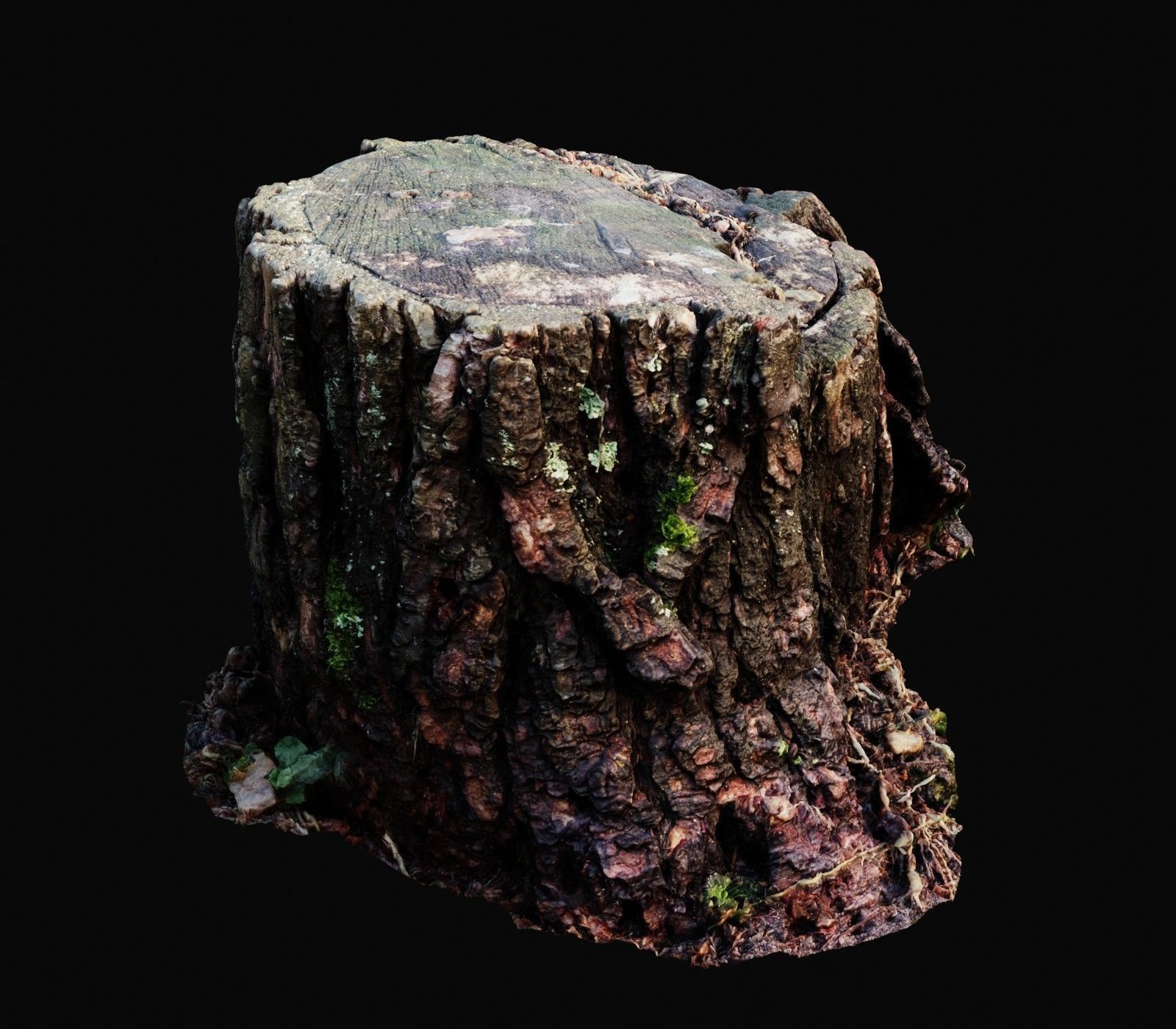 3D model Stump 10 VR / AR / low-poly | CGTrader