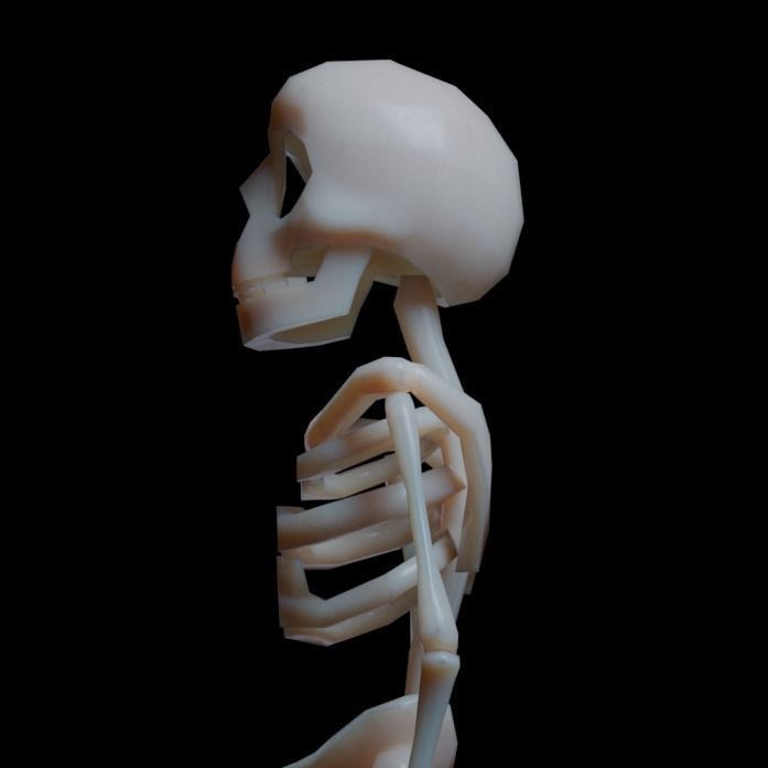 3D model Skeleton Joe VR / AR / low-poly | CGTrader