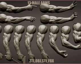Arm 3D Models | CGTrader