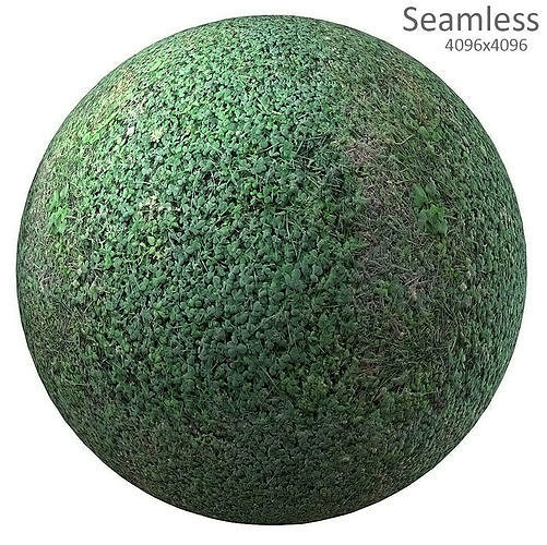 Texture green texture VR / AR / low-poly | CGTrader
