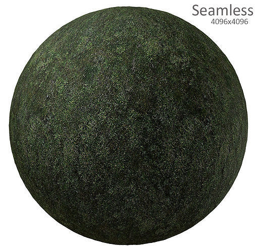 Texture moss texture VR / AR / low-poly | CGTrader