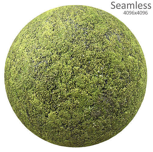Texture moss texture VR / AR / low-poly | CGTrader