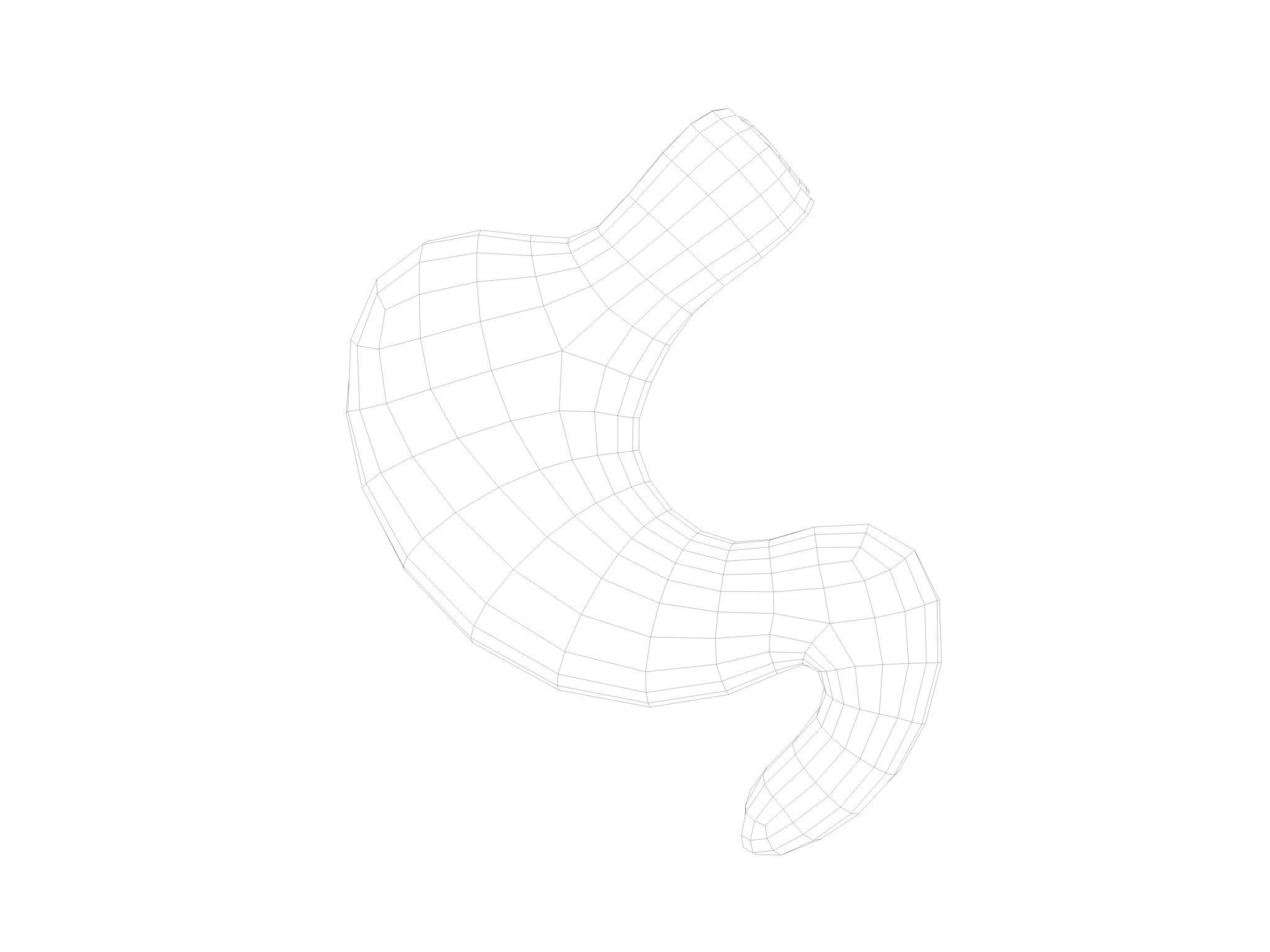 3D model Human Stomach VR / AR / low-poly | CGTrader