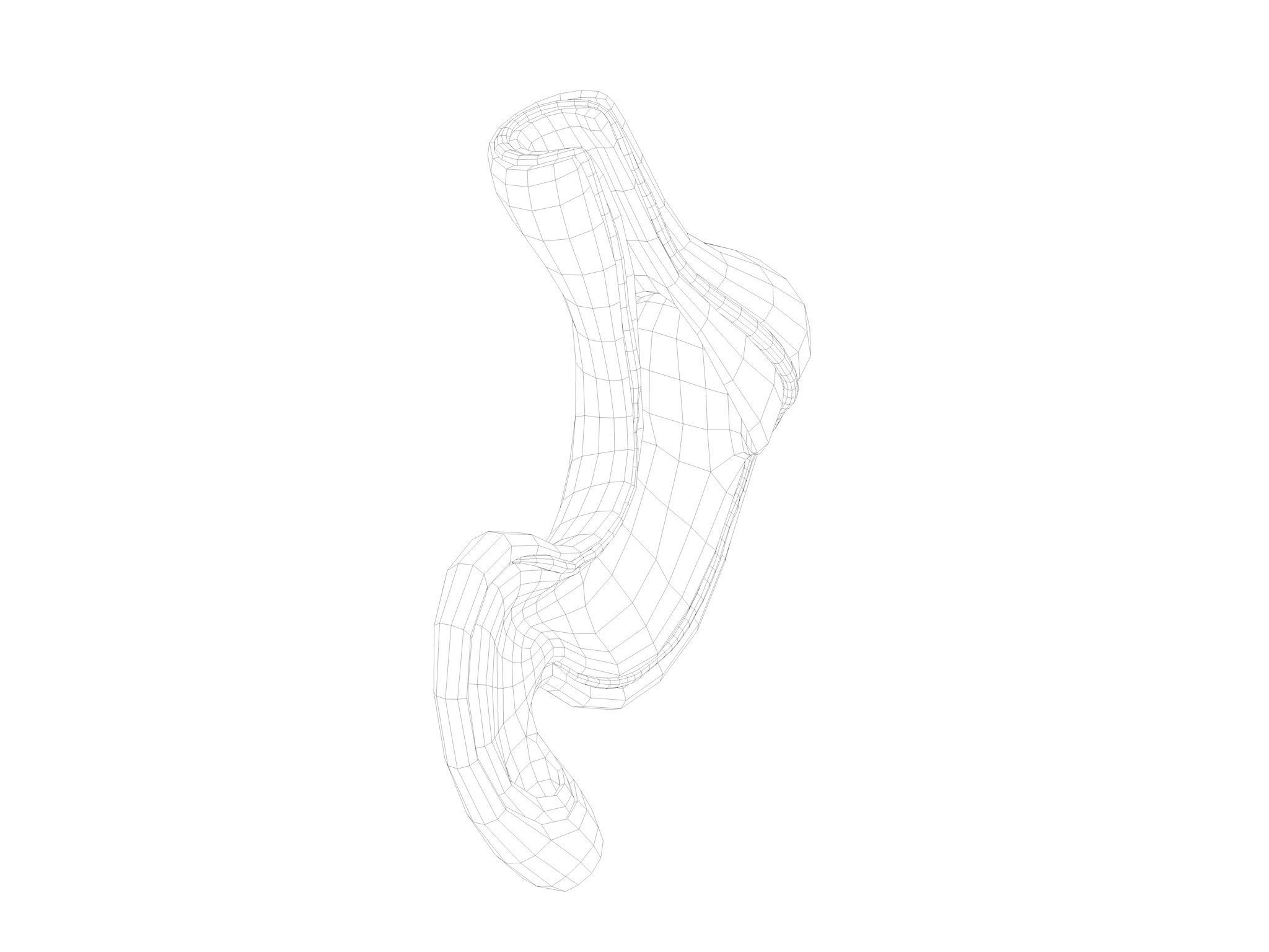 3D model Human Stomach VR / AR / low-poly | CGTrader