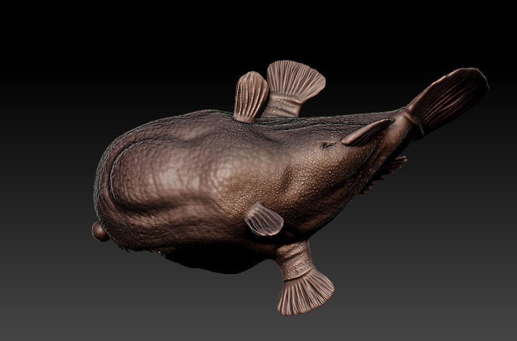Angler fish 3D model 3D printable | CGTrader