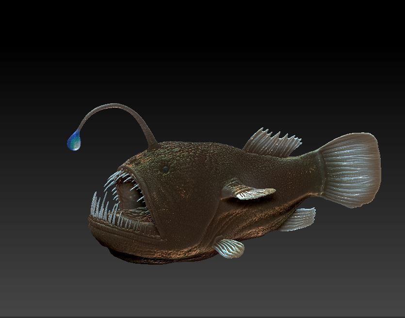 Angler fish 3D model 3D printable | CGTrader