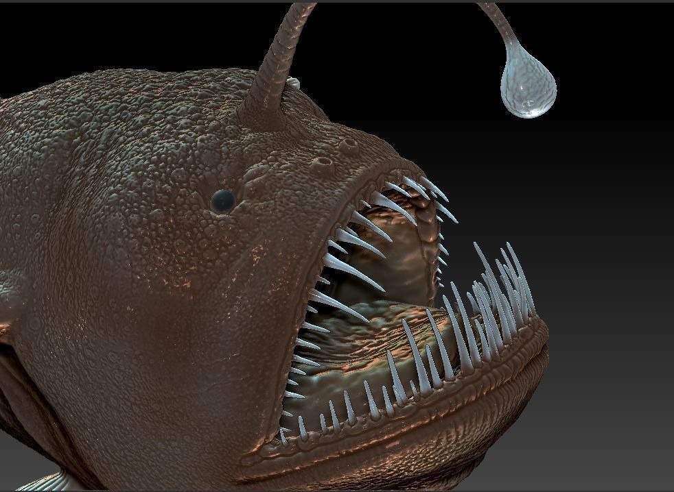 Angler fish 3D model 3D printable | CGTrader