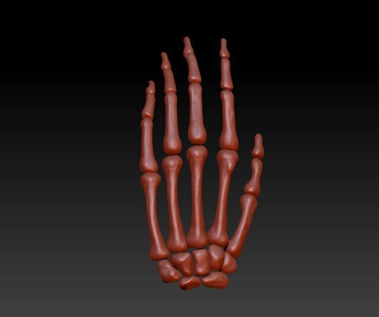 The 3D printing and downloading of human bone structure 3D model 3D ...