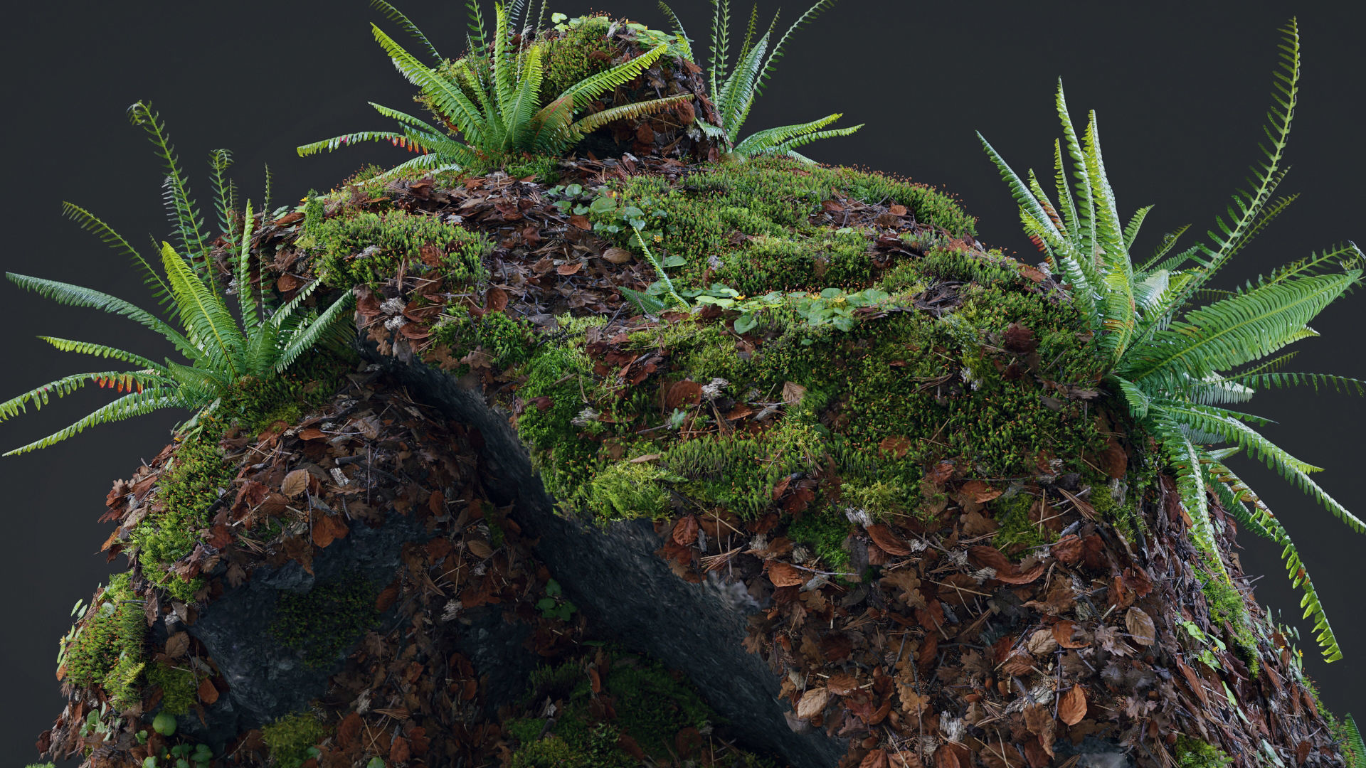 3D model Moss Biome Ground Scatter - 3D AssetKit PBR VR / AR / low-poly ...