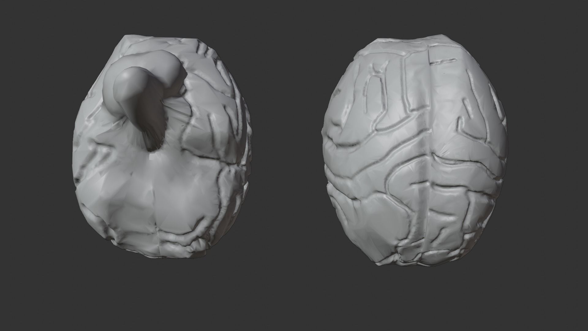 3D model low poly brain anatomy VR / AR / low-poly | CGTrader