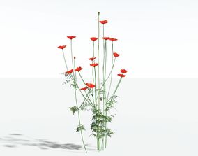 Poppy 3D Models | CGTrader