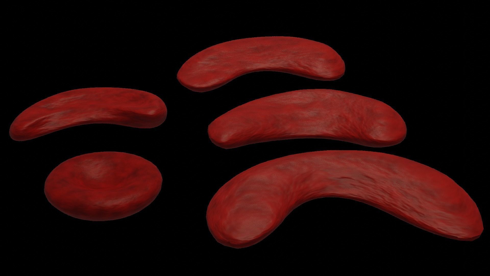 3D model Sickle Cells VR / AR / low-poly | CGTrader
